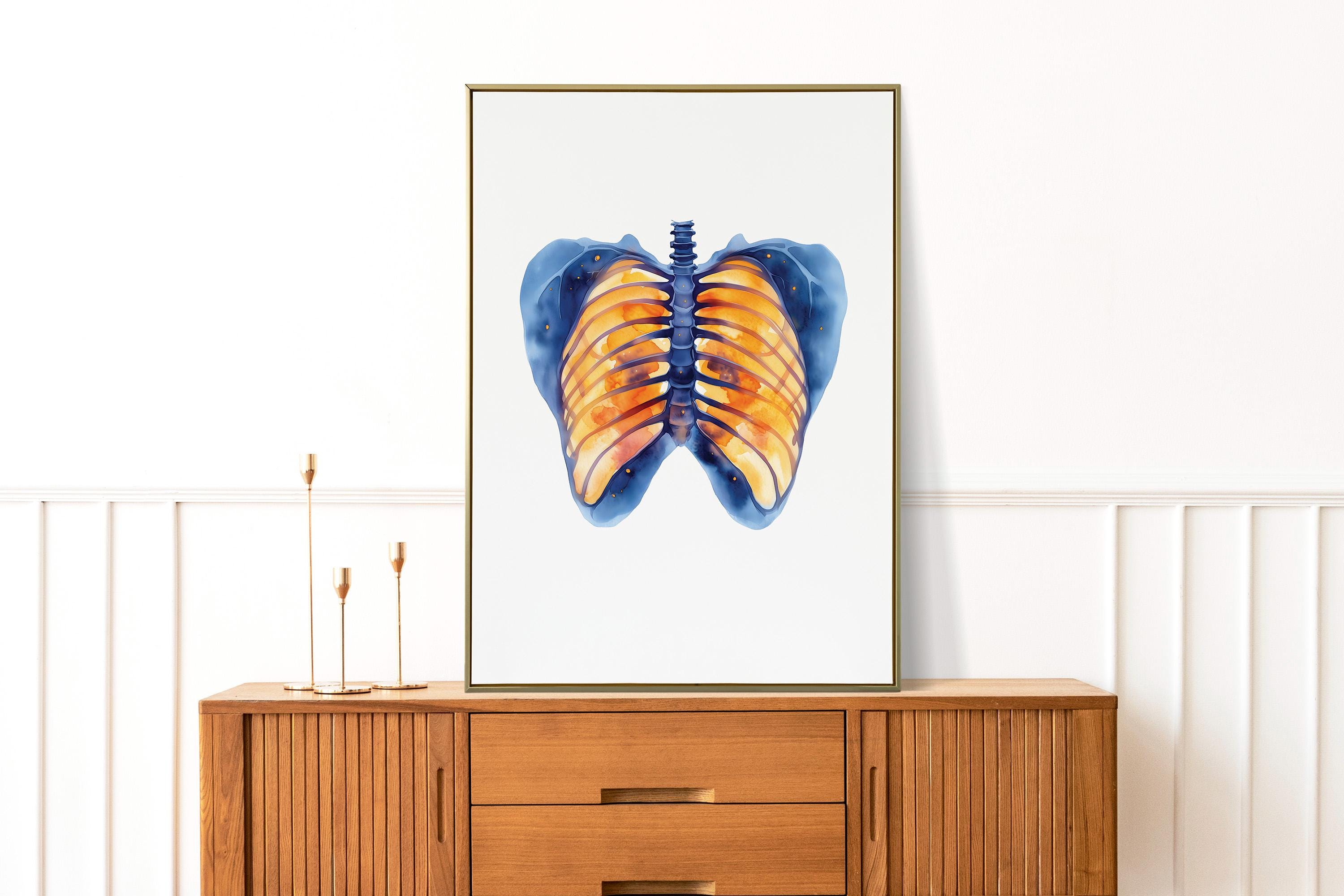 Anatomical Lungs Rib Cage Butterfly Watercolor Print, Medical Artwork ...