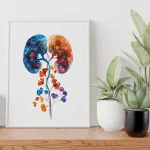 Kidney Anatomy Art Print Urologist Office Decor Floral Kidney Art ...