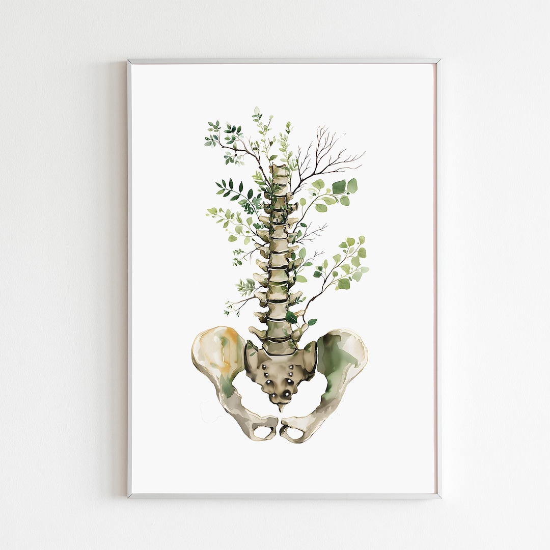 Pelvic Floor Art Print, Physical Therapy Office Decor, Pelvis Health ...