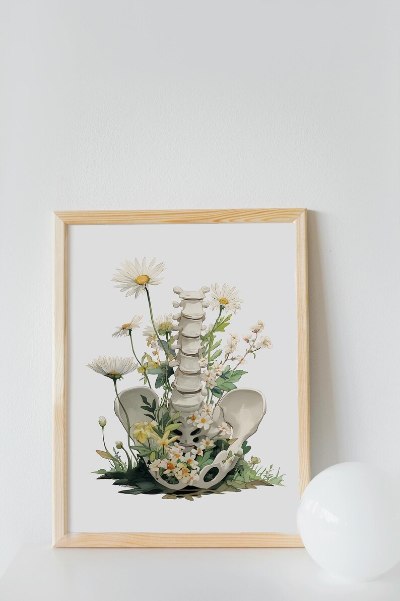 Pelvis and Spine Floral Anatomy Print, Healing Pelvic Floor Wall Art ...
