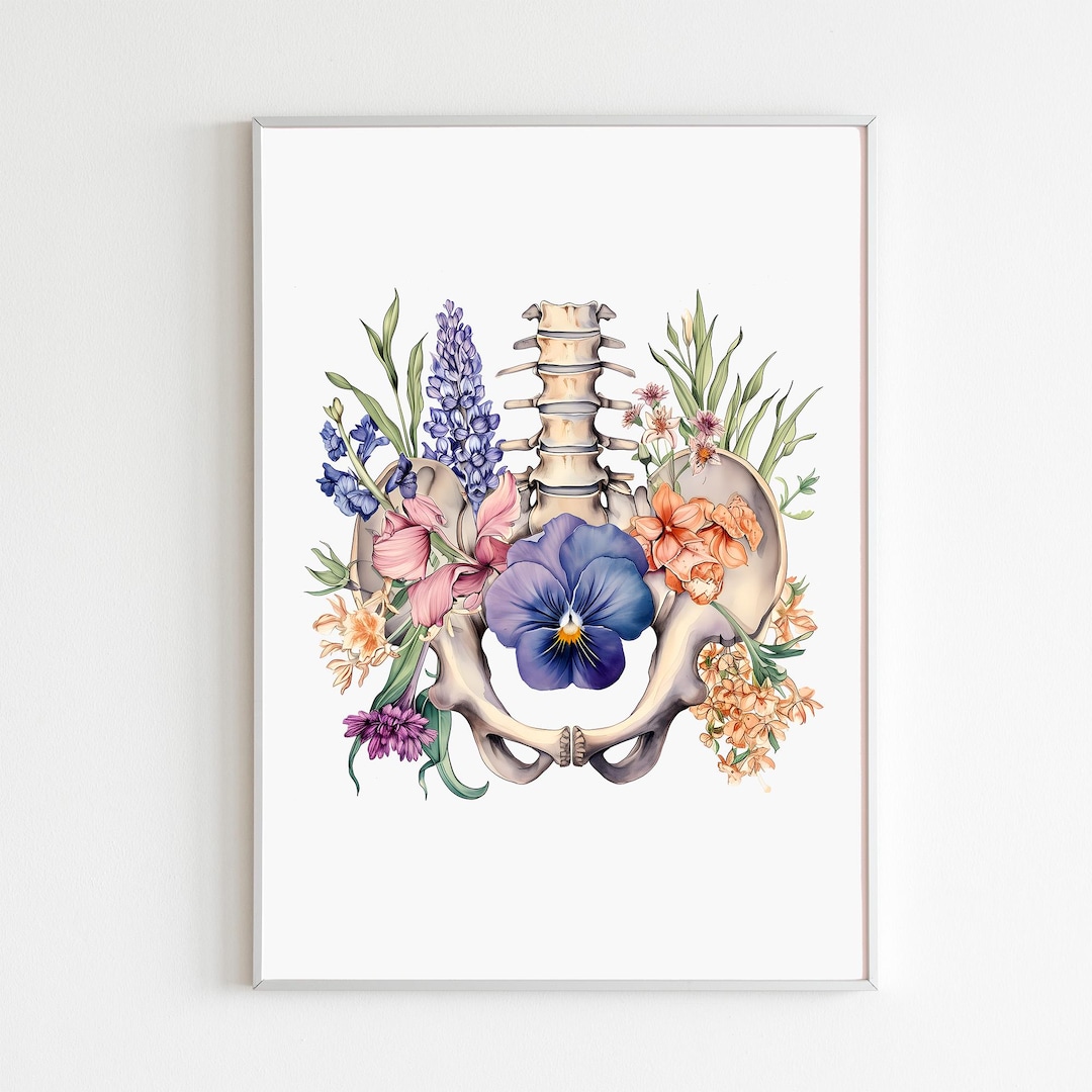 Pelvic Floor Watercolor Print, Vintage Medical Wall Art, Reproductive ...