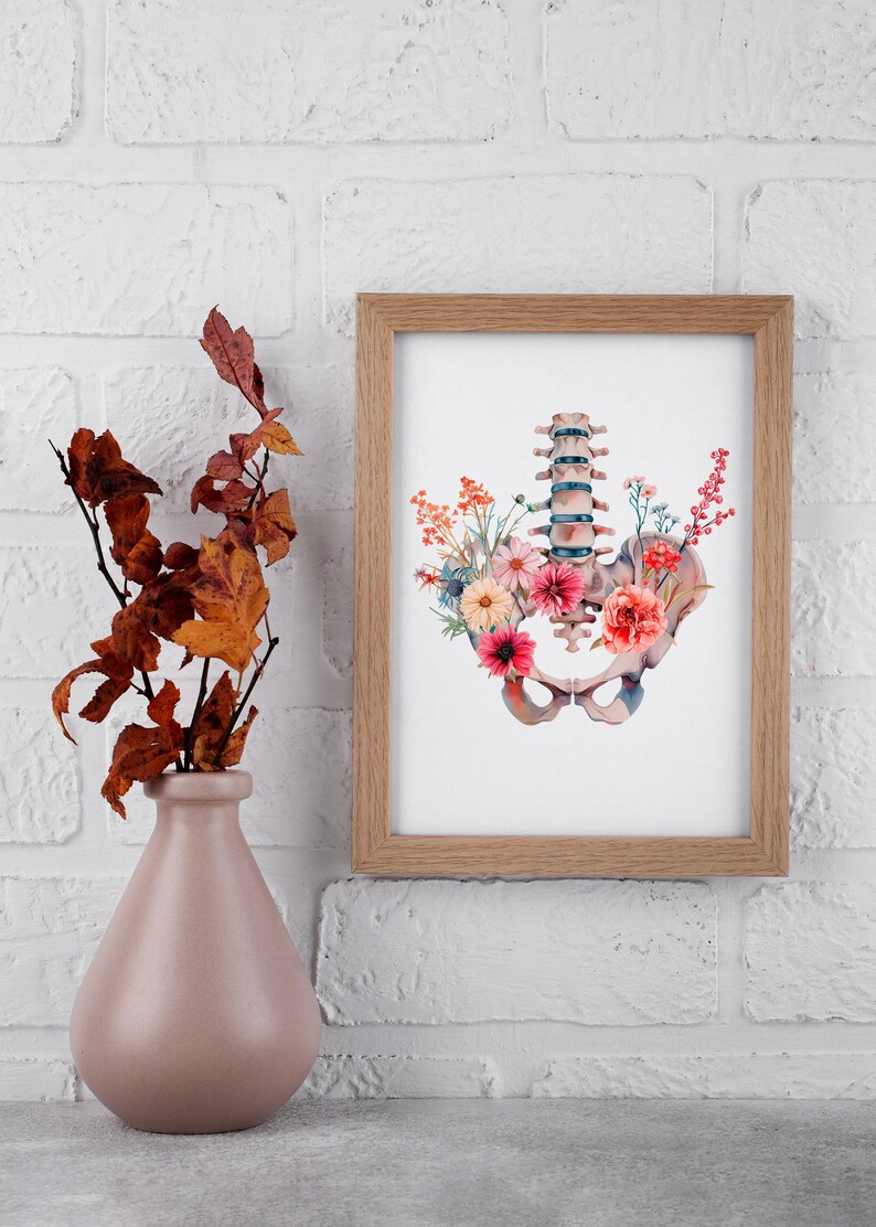 Floral Pelvis Anatomy Poster, Physical Therapist Office Decor ...