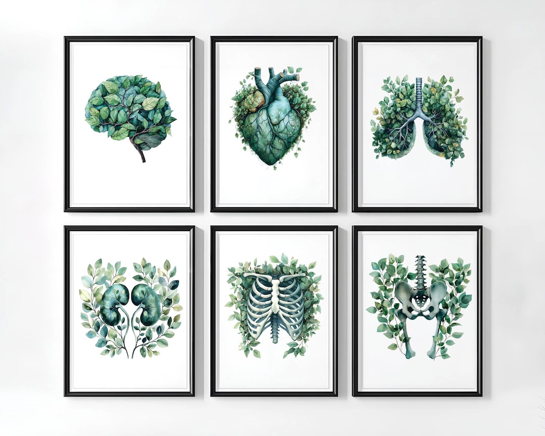 Heart Brain Lungs Kidneys Ribcage Pelvis Watercolor Art Print Set of 6 ...