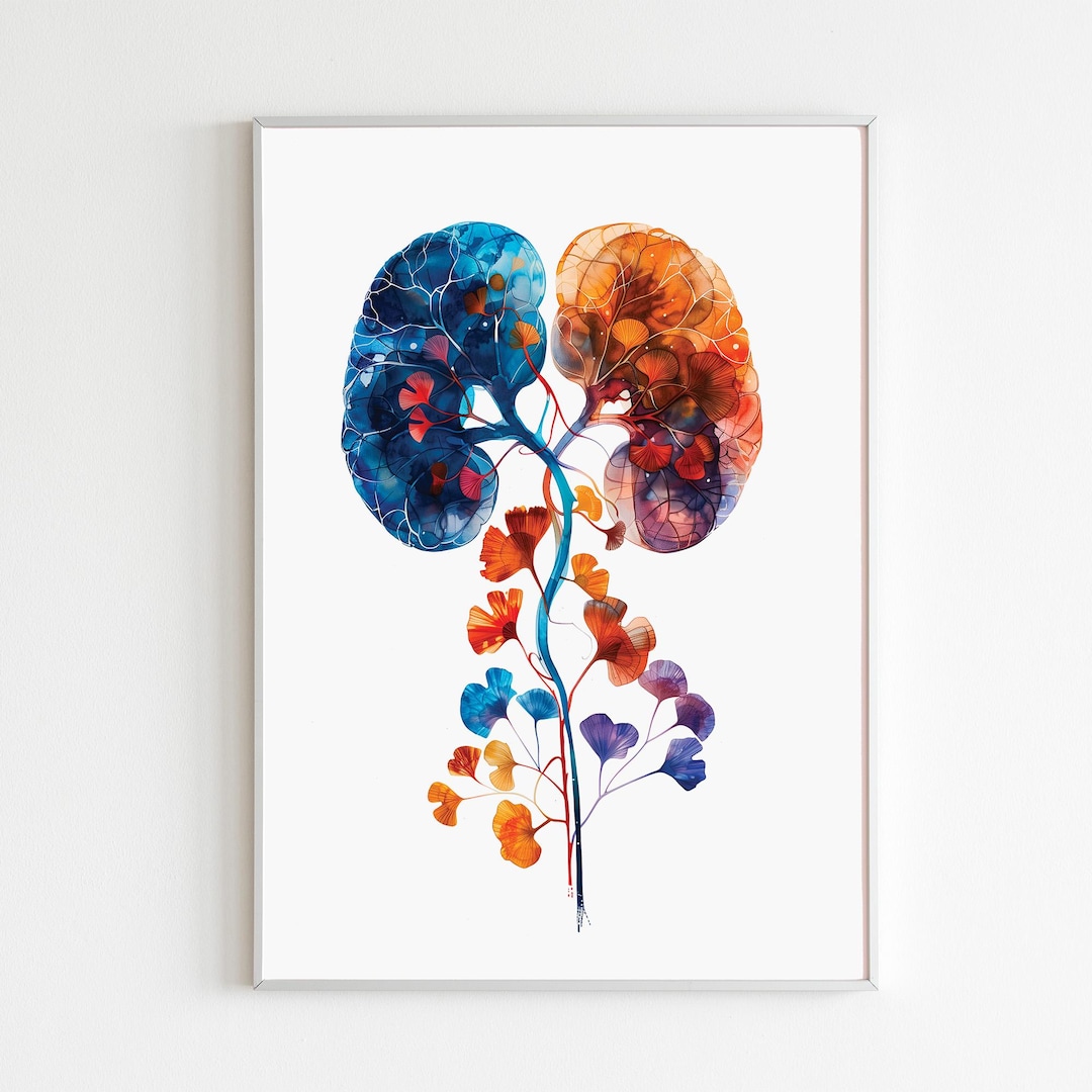 Kidney Anatomy Art Print Urologist Office Decor Floral Kidney Art ...