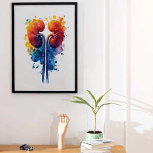 Human Kidneys Watercolor Art Print, Medical Anatomy Wall Decor ...