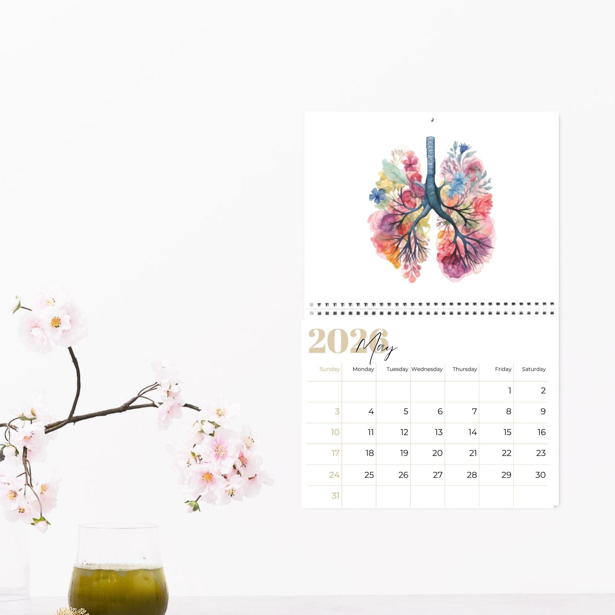 Anatomy 2026 Wall Calendar, Human Body Artwork, Doctor Nurse Christmas ...