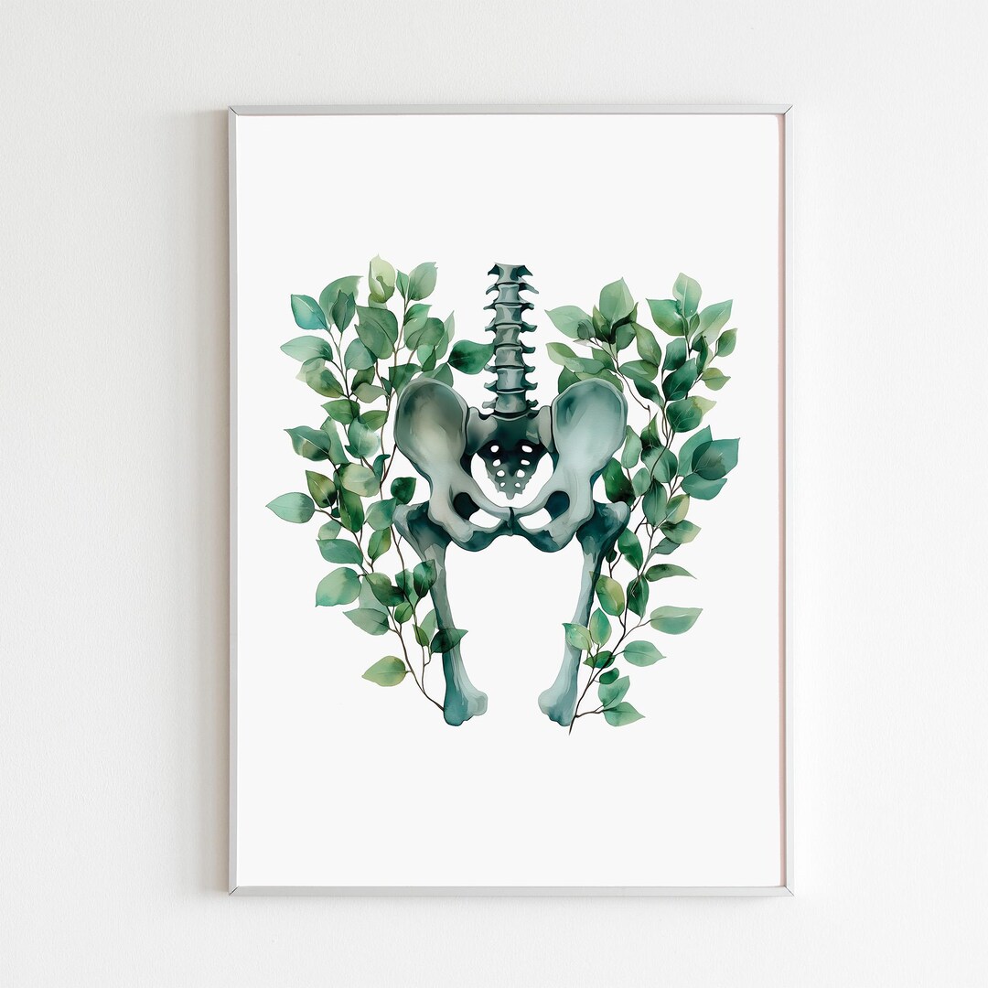 Pelvis Watercolor Art Print, Botanical Human Anatomy Painting, Pelvic ...