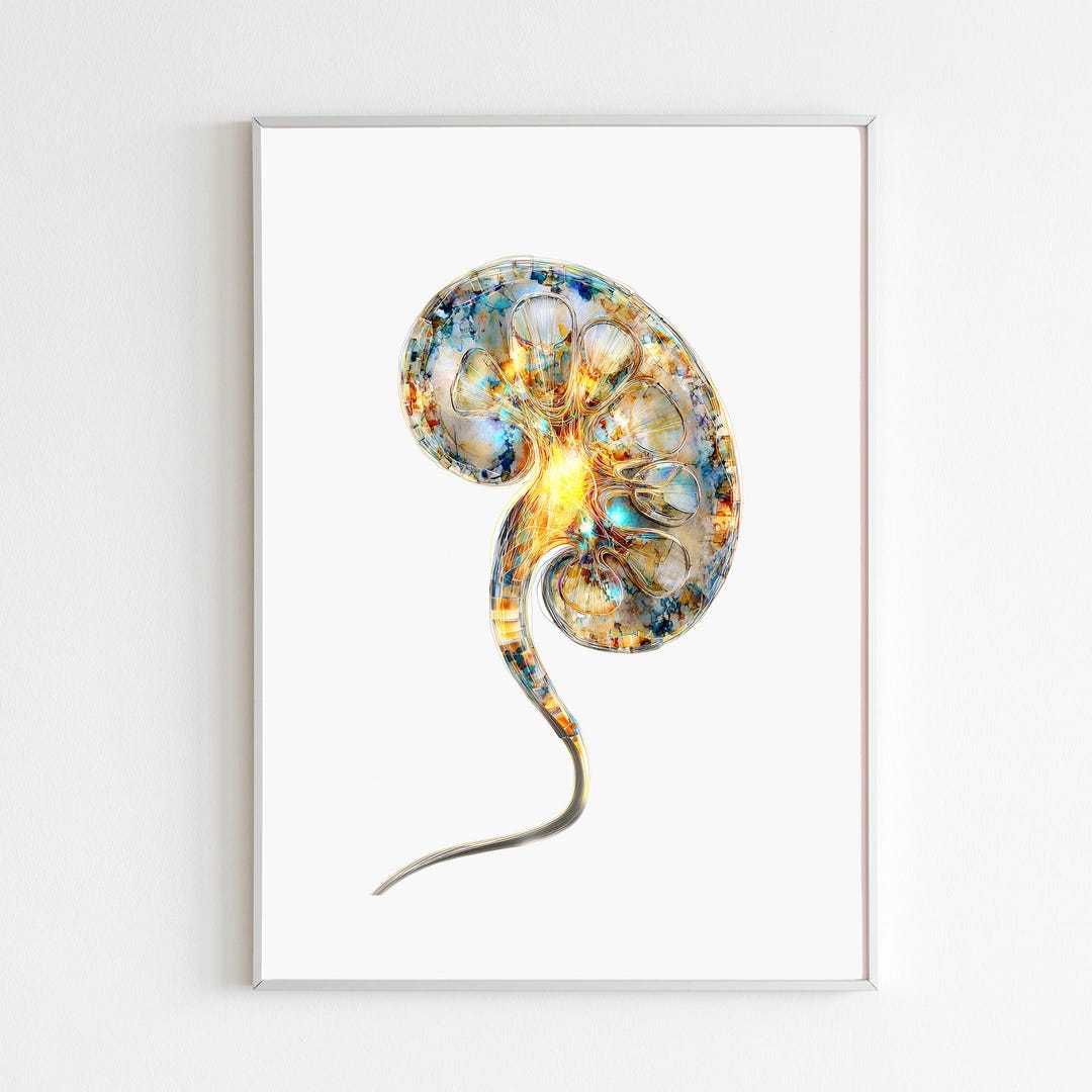 Gold Kidneys Art Print, Nephroart Printable, Medical Anatomy Wall Decor ...