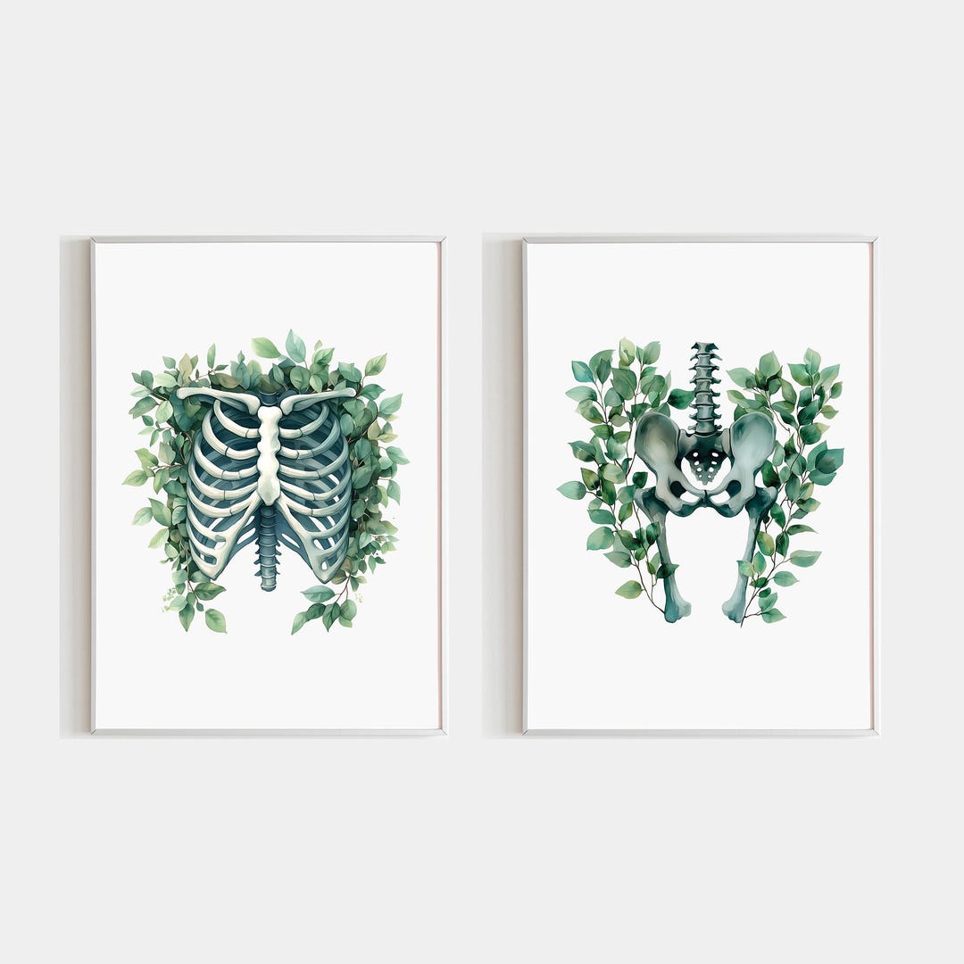 Pelvis Ribcage Watercolor Art Print Set of 2, Floral Human Anatomy ...