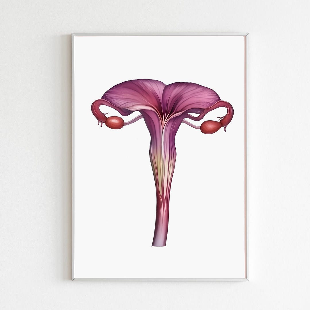Floral Uterus Ovaries Wall Artwork, Female Reproductive System Anatomy ...