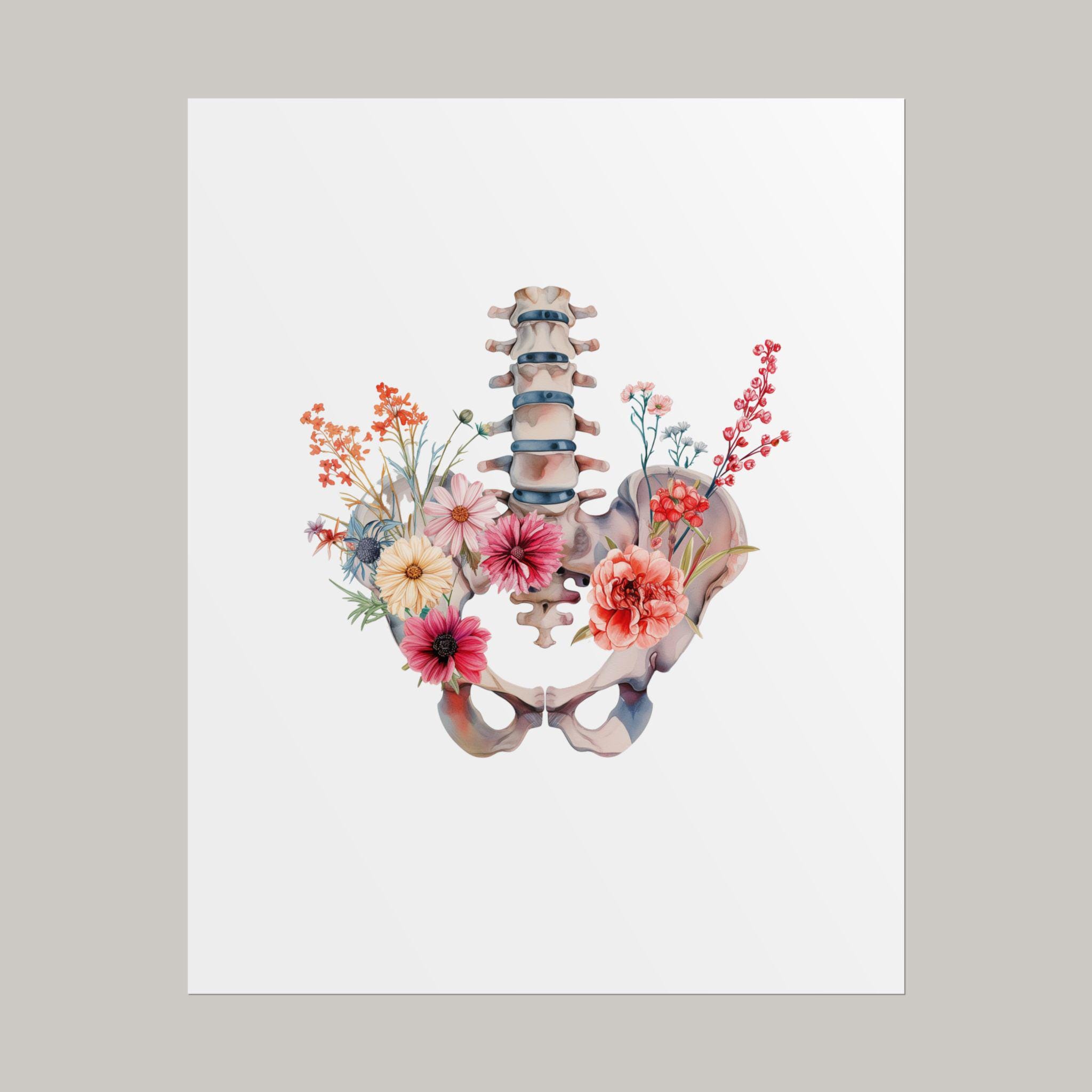 Floral Pelvis Anatomy Poster, Physical Therapist Office Decor ...