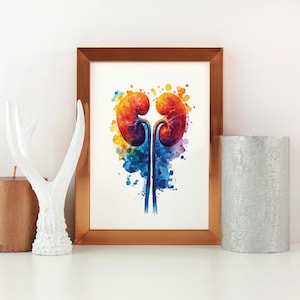 Human Kidneys Watercolor Art Print, Medical Anatomy Wall Decor ...