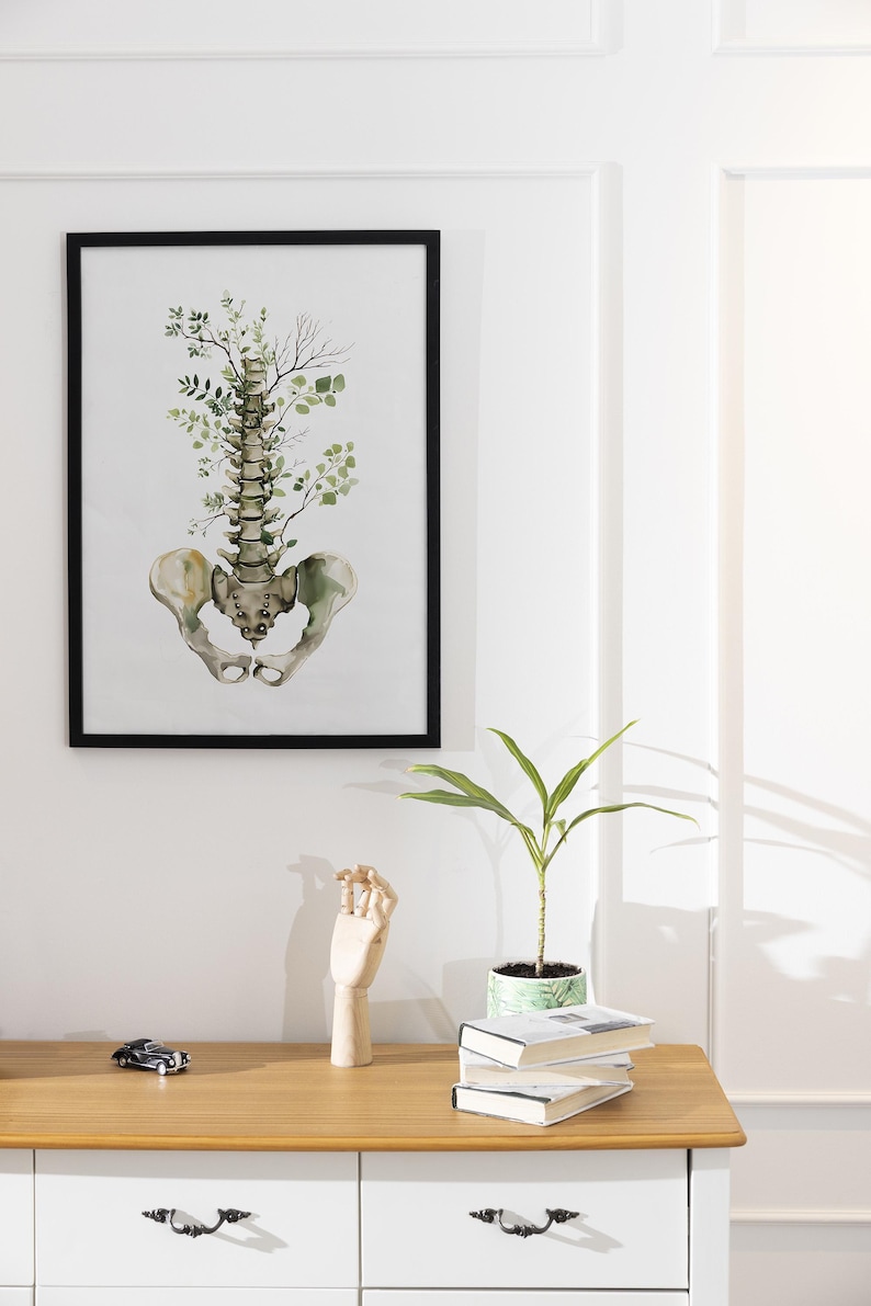 Pelvic Floor Art Print, Physical Therapy Office Decor, Pelvis Health ...