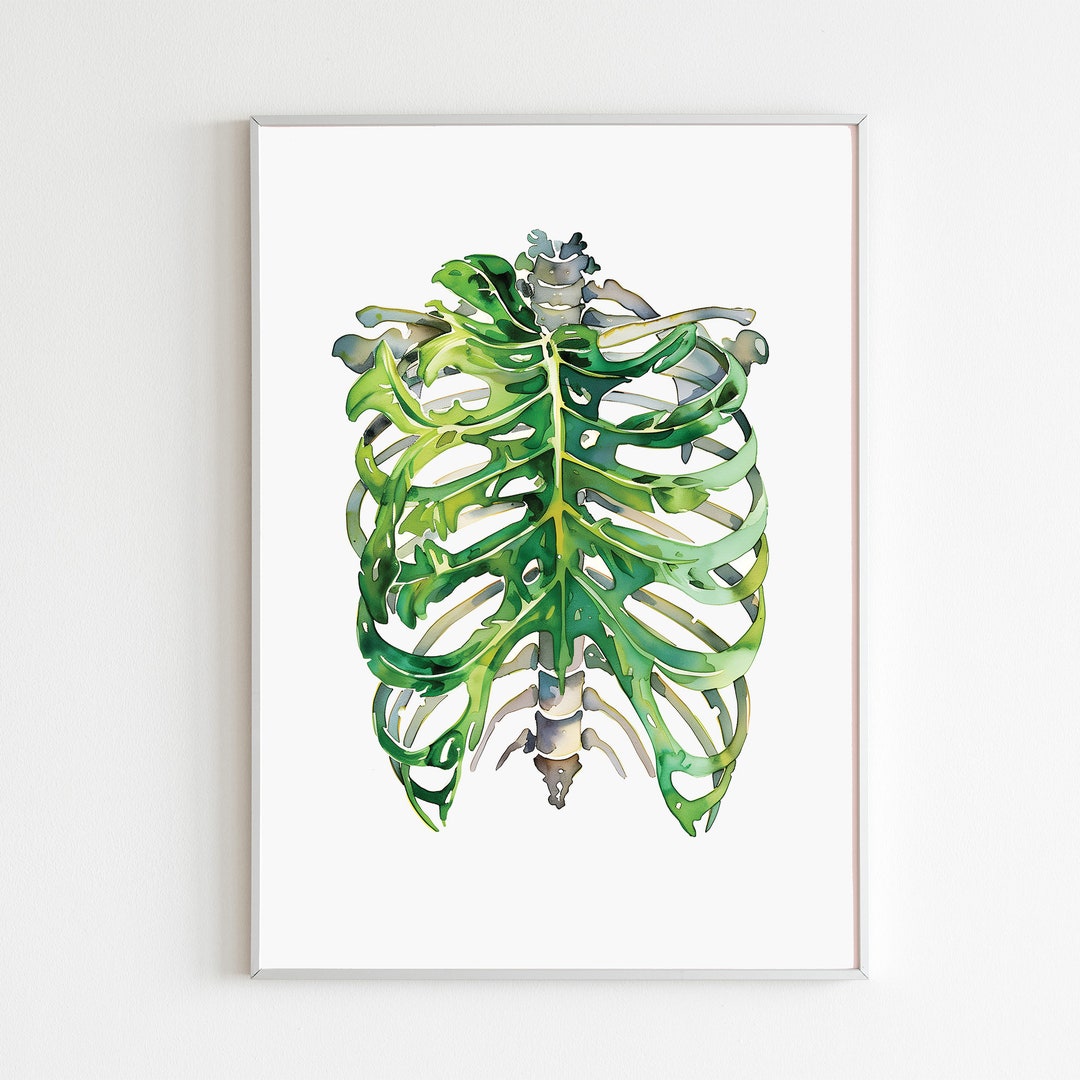 Rib Cage Monstera Art Print Thorax Wall Art Chiropractor Wall Decor ...