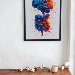 Brain Gut Watercolor Art Print, Colorful Anatomical Brain Print, Gut ...
