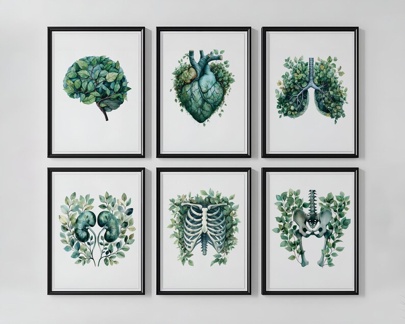 Heart Brain Lungs Kidneys Pelvis Ribcage Poster Watercolor Anatomy ...