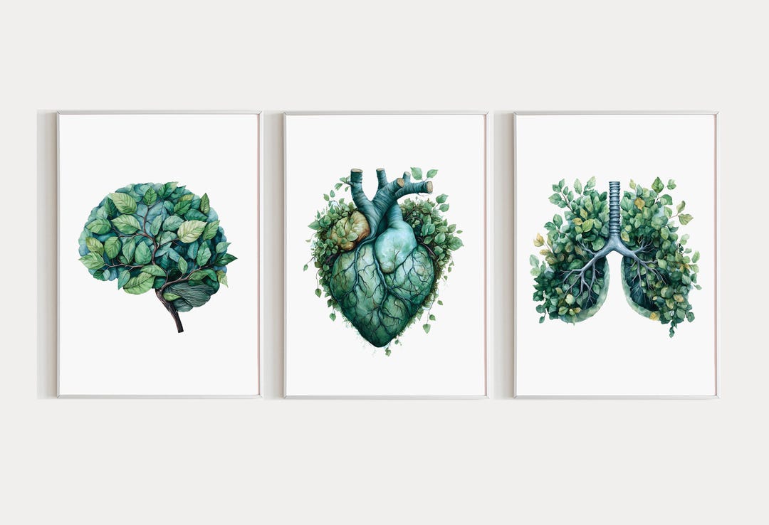 Heart Brain Lungs Watercolor Art Print Set of 3, Printable Human ...