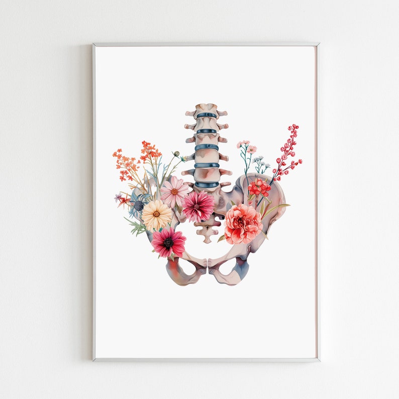 Pelvic Floor Art Print Physical Therapy Office Decor Pelvis Watercolor ...