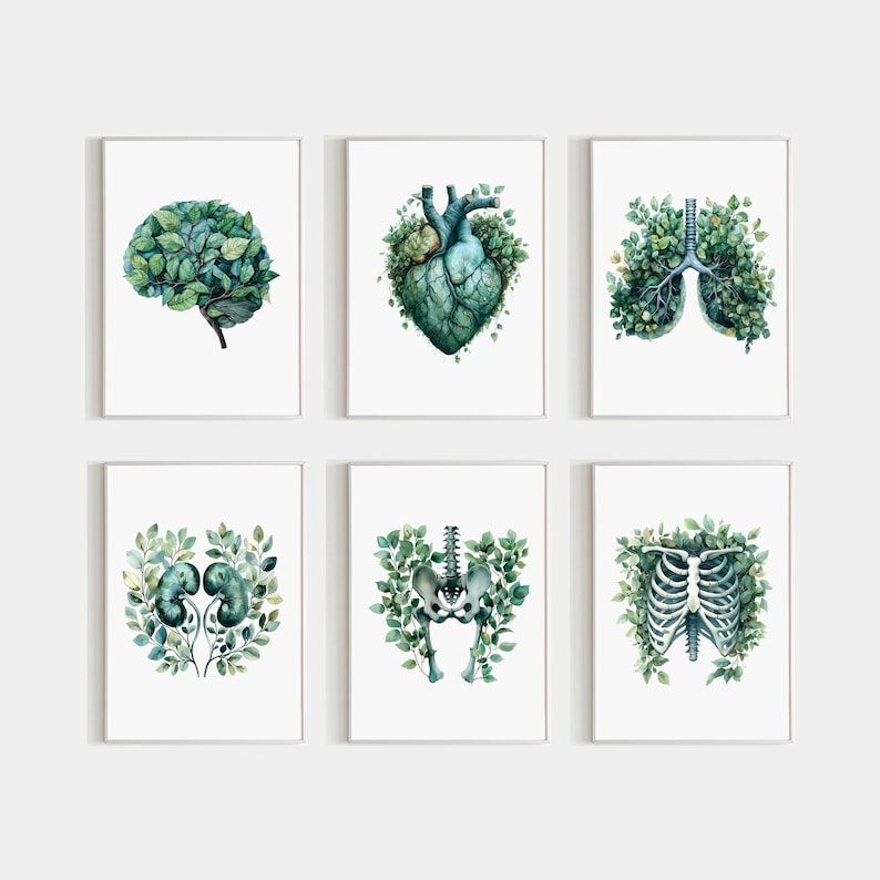 Heart Brain Lungs Kidneys Pelvis Ribcage Poster Watercolor Anatomy ...