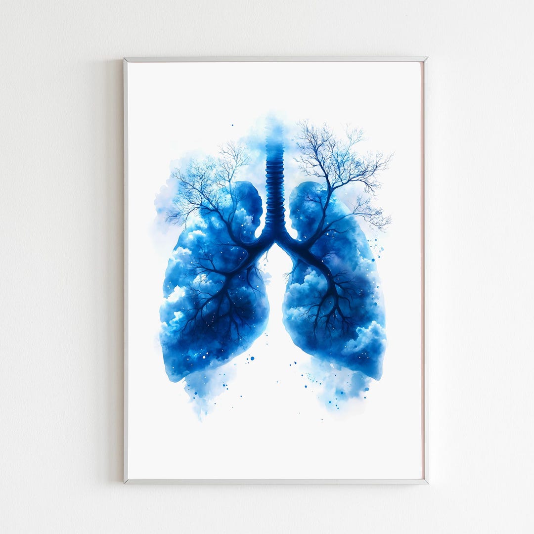 Air Lungs Art Print, Medical Office Wall Decor, Anatomical Pulmonary ...