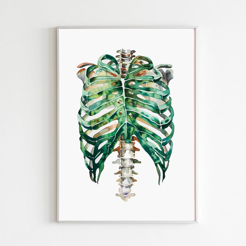 Rib Cage Monstera Leaf Watercolor Painting Printable, Medical Anatomy ...