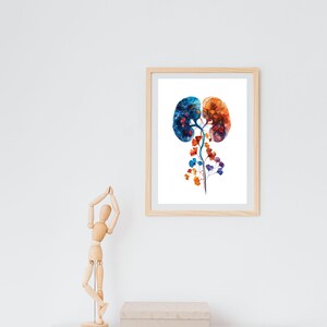 Kidney Anatomy Art Print Urologist Office Decor Floral Kidney Art ...