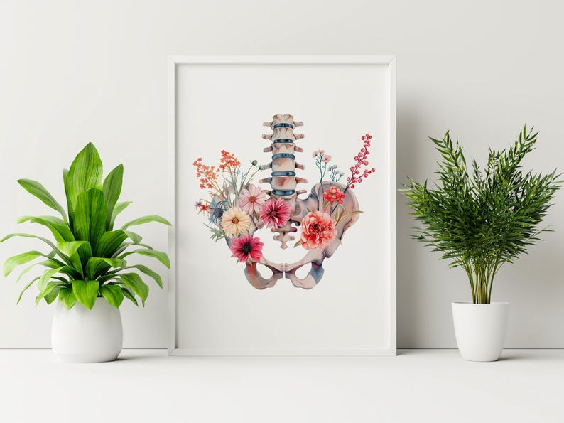 Floral Pelvis Anatomy Poster, Physical Therapist Office Decor ...