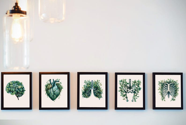 Heart Brain Lungs Kidneys Pelvis Ribcage Poster Watercolor Anatomy ...