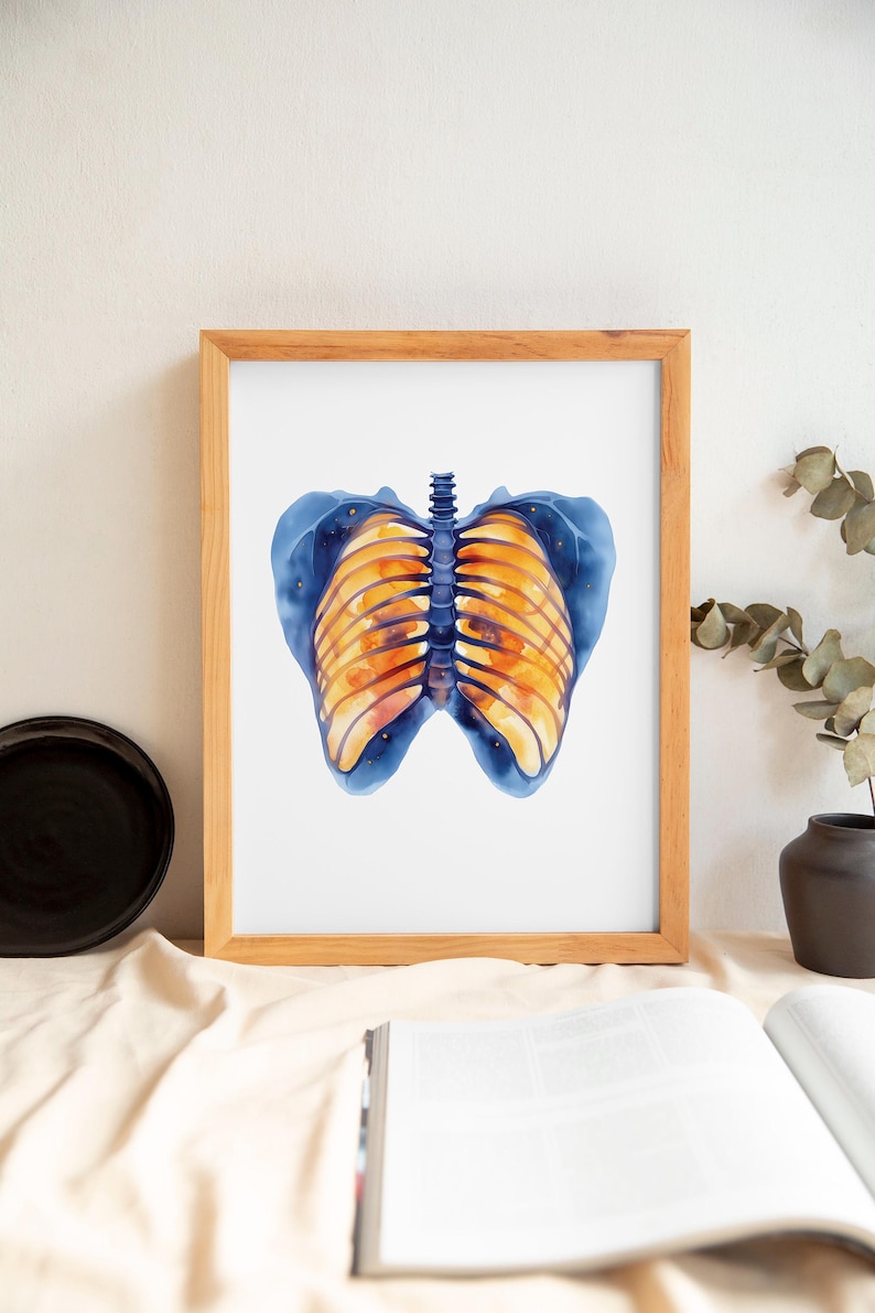 Anatomical Lungs Rib Cage Butterfly Watercolor Print, Medical Artwork ...