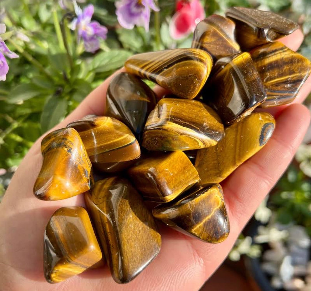 ONE 1 Tiger Eye Tumble Rock, Tiger Eye Quartz Pocket Stone, Crystal ...