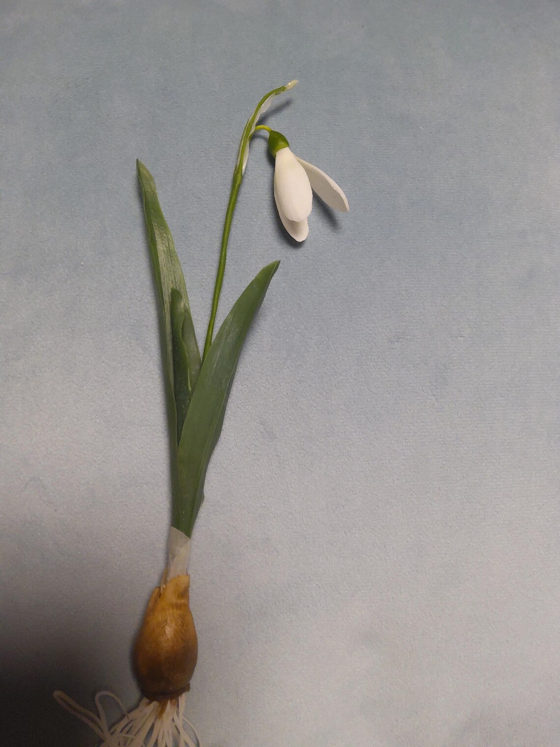 Snowdrop Cold Porcelain Flowers 3 (snowdrop, Lily of the Valley ...