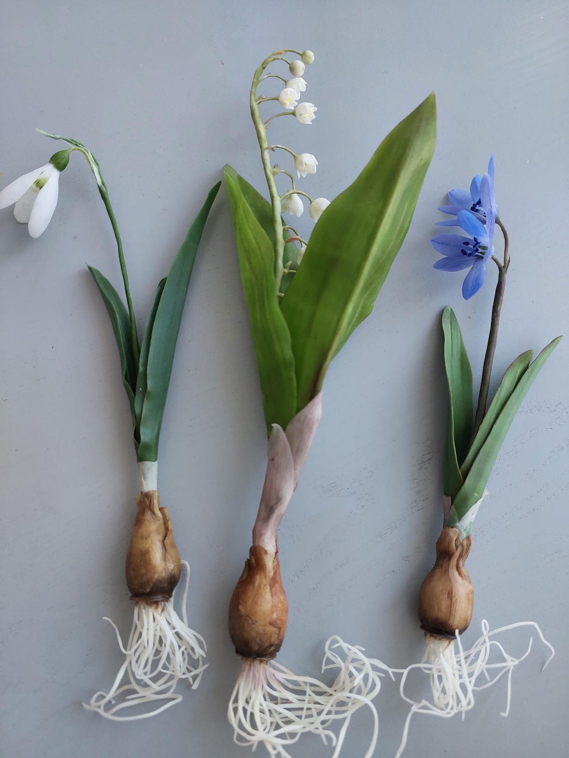 Snowdrop Cold Porcelain Flowers 3 (snowdrop, Lily of the Valley ...