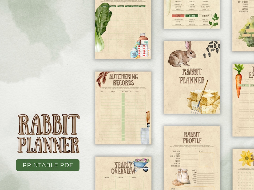 Plan Your Rabbit Adventure: Discover the Perfect Rabbit Planner direct ...