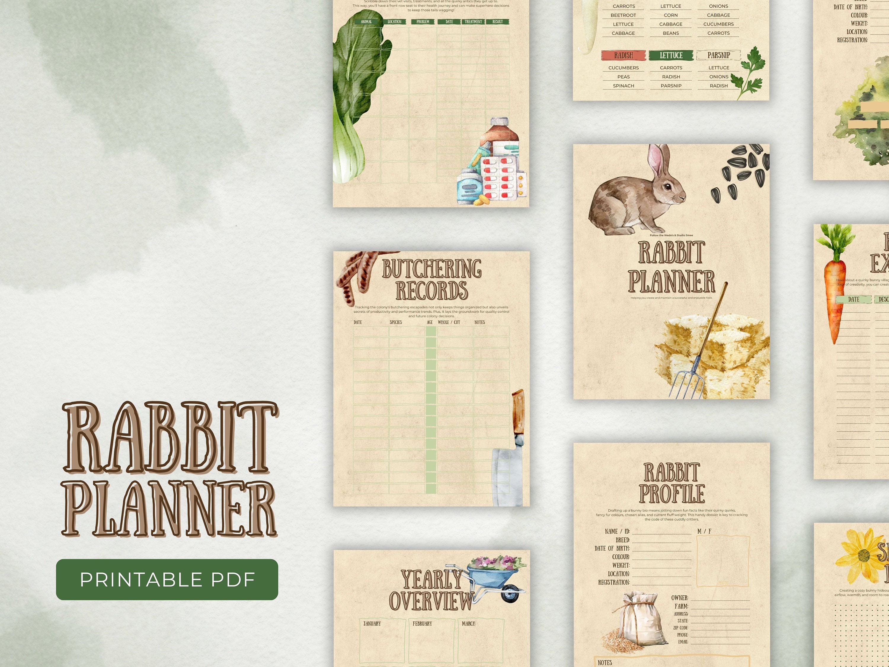 Plan Your Rabbit Adventure: Discover the Perfect Rabbit Planner direct ...