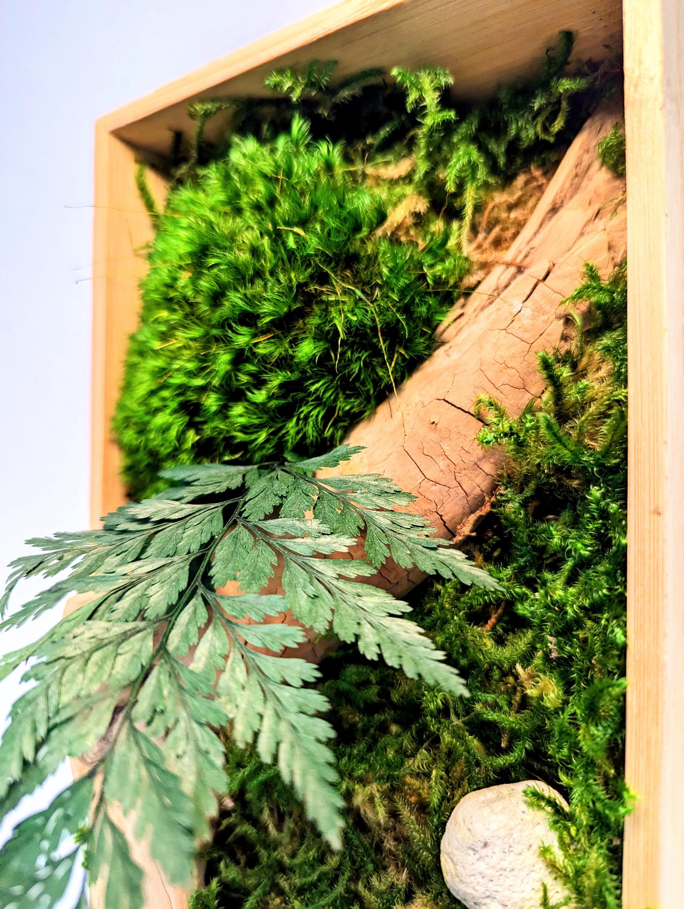 Botanical Frame: Wood - Etsy