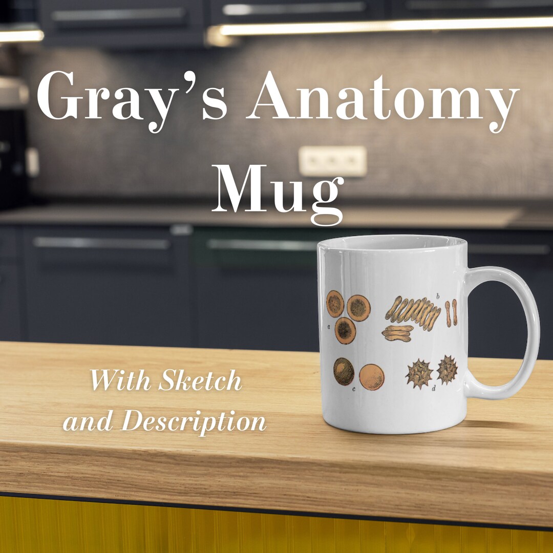 Gray's Anatomy Mug Human Red Blood Cells 11oz 325ml Mug for Medical ...