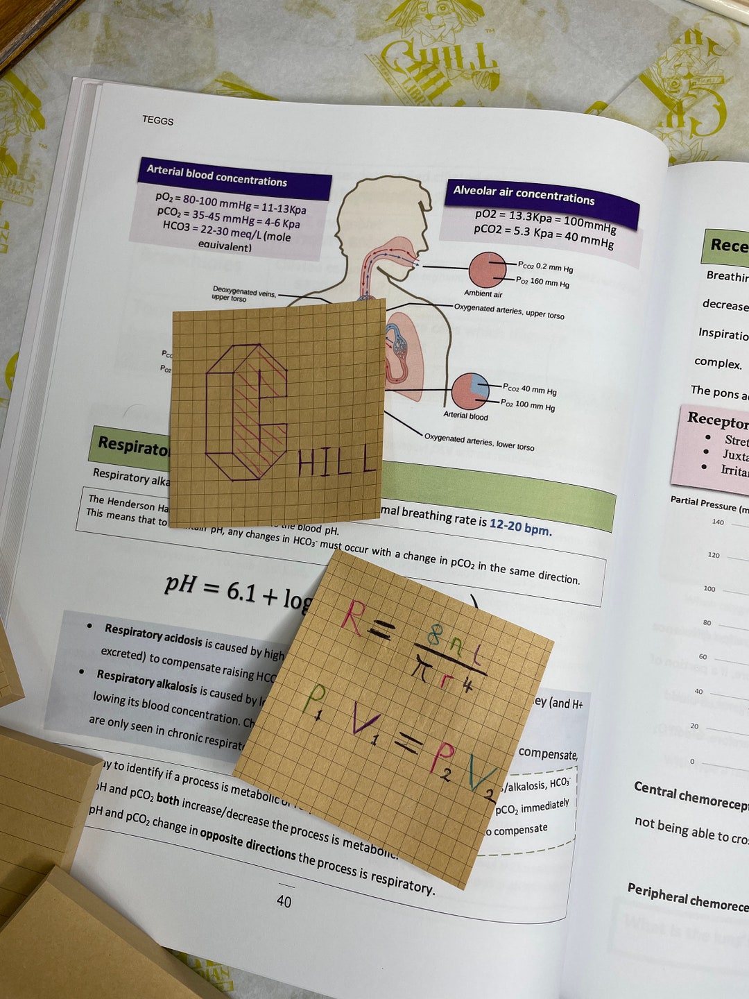 Brown Sticky Notes | Kraft Paper | Plain, Lined, or Squared Paper ...