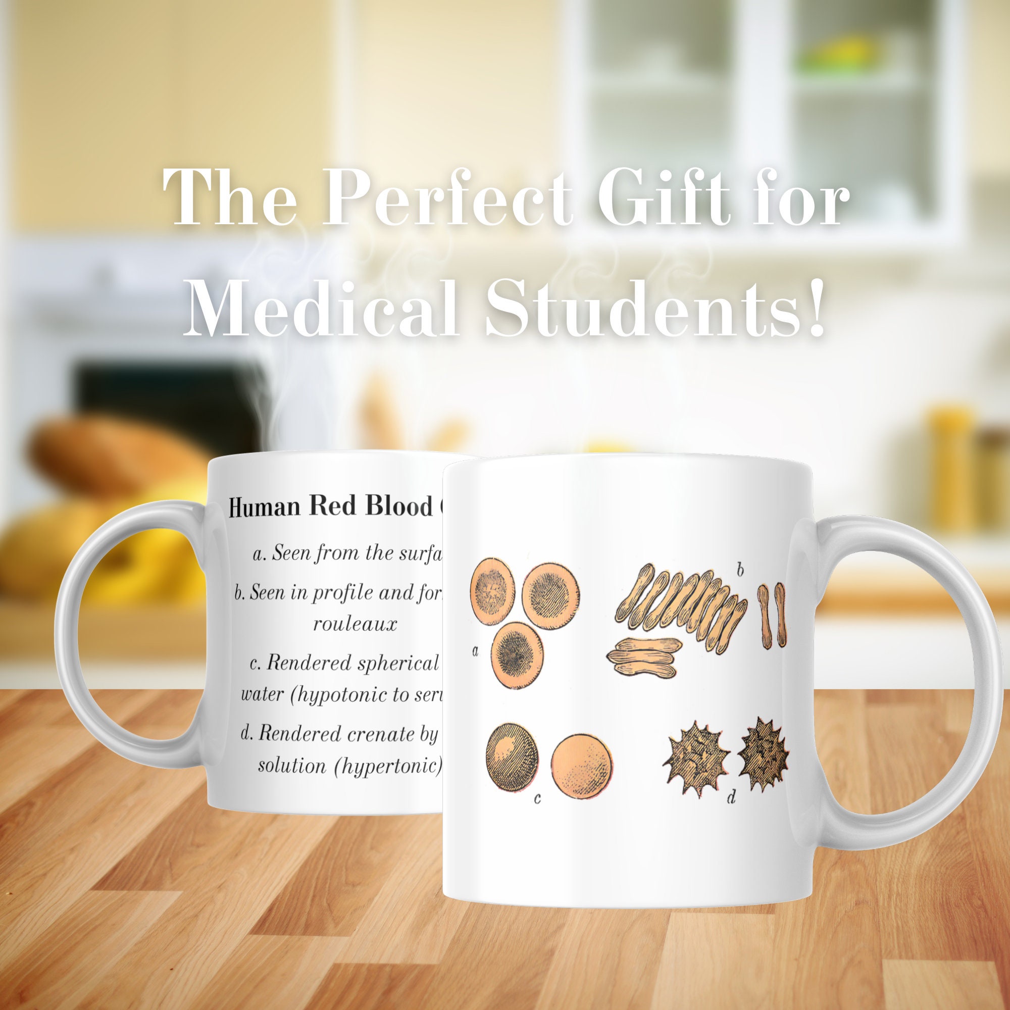 Gray's Anatomy Mug Human Red Blood Cells 11oz 325ml Mug for Medical ...