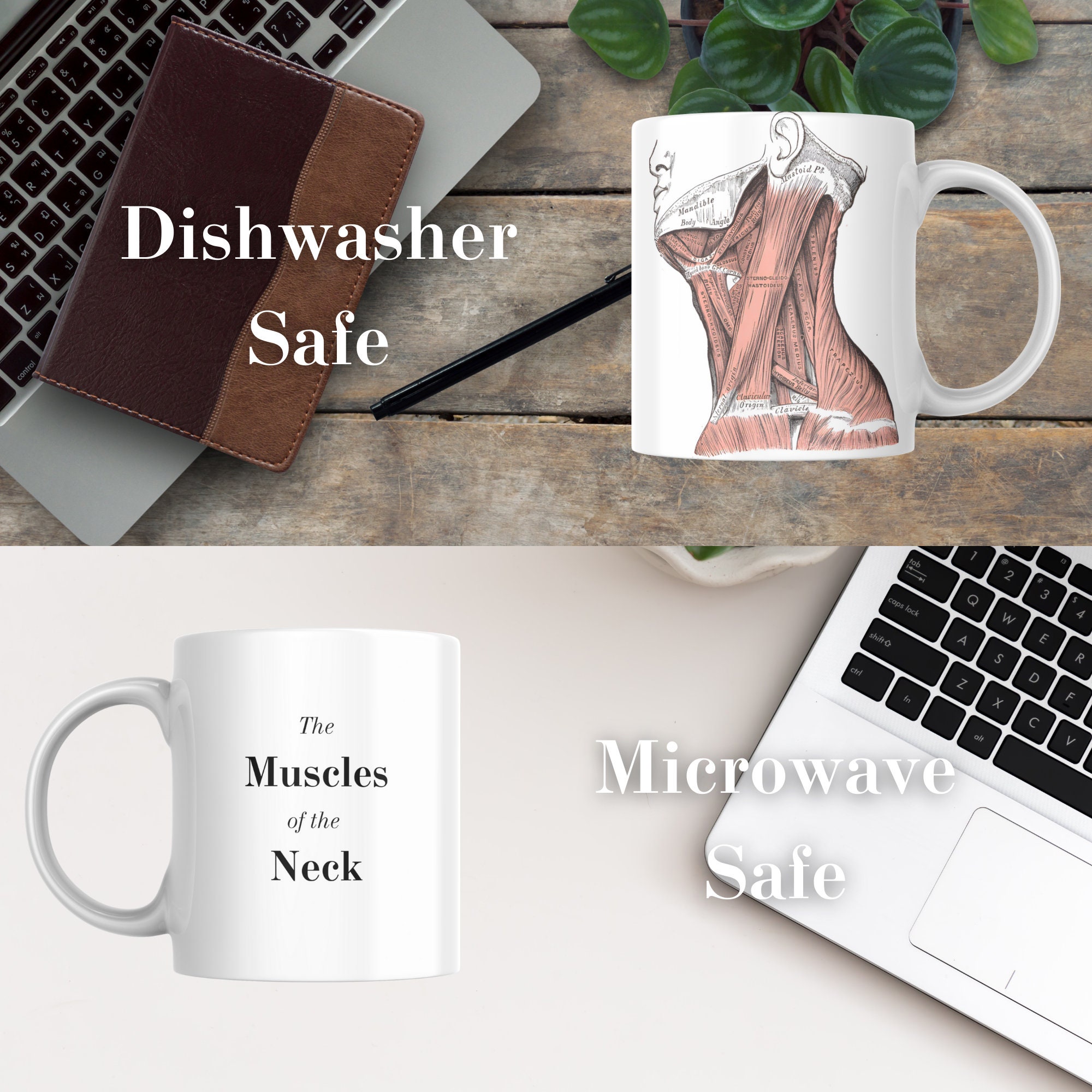 Gray's Anatomy Mug Muscles of the Neck 11oz 325ml Mug for Medical ...