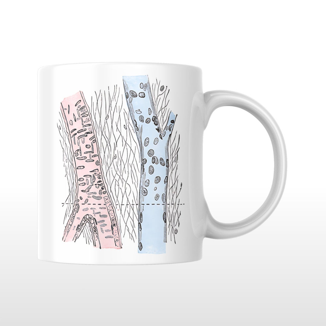Gray's Anatomy Mug an Artery and Vein 11oz 325ml Mug for Medical ...