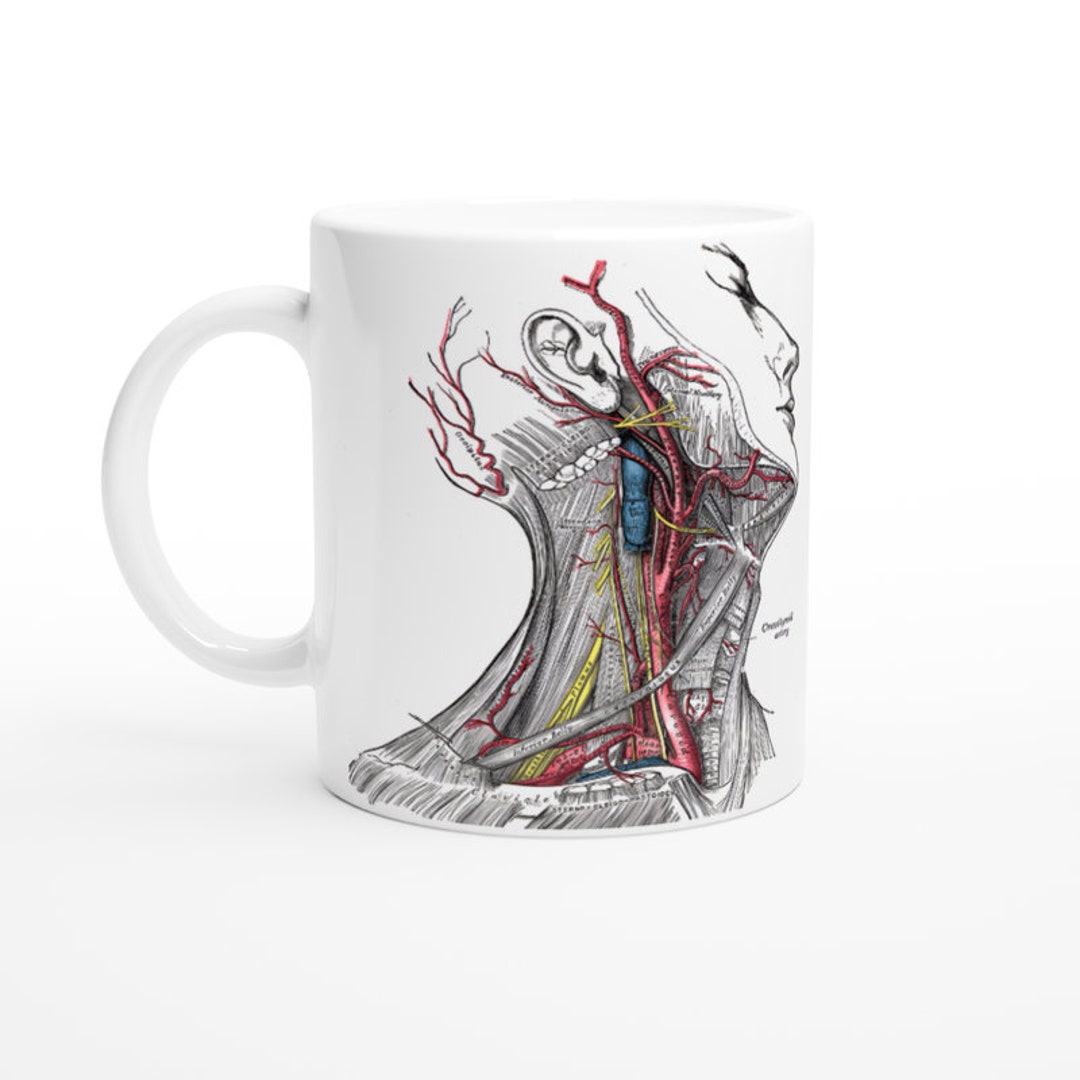 Gray's Anatomy Mug Surgical Anatomy of the Arteries of the Neck 11oz ...