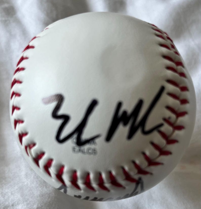 President Donald Trump & Elon Musk Signed Baseball With COA - Etsy