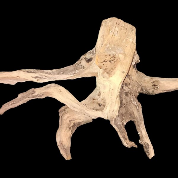 Drift Wood - Etsy