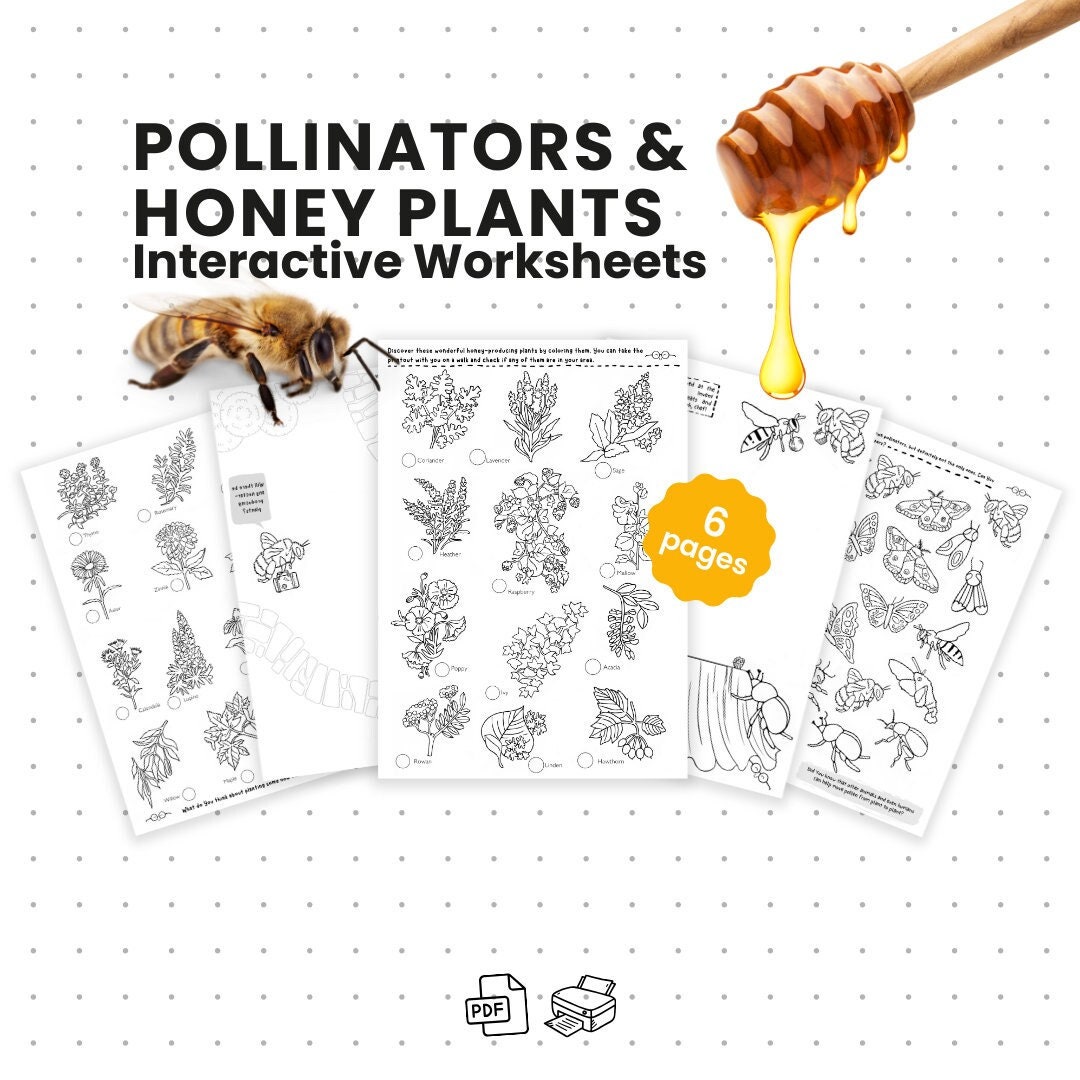 Interactive Coloring Set Pollinators Honey Plants | Eco Activity ...