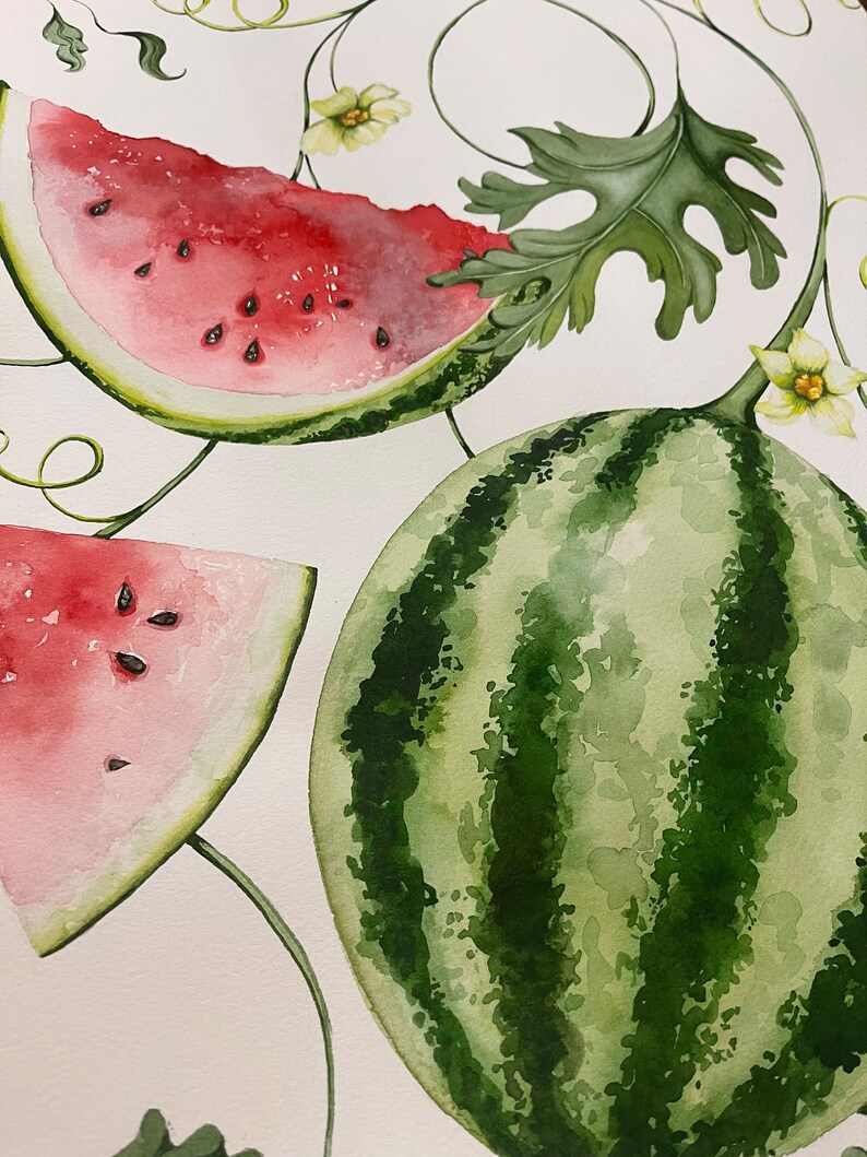 Flowering Watermelon Watercolor Painting Print | Watermelon Fruit Plant ...