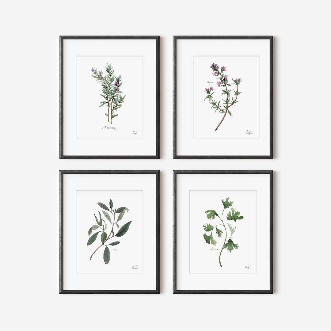 Herbs Set of 4 Watercolor Art Prints | Rosemary Thyme Sage Cilantro ...