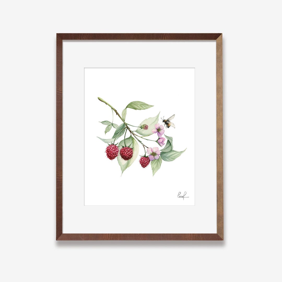 Raspberries Wall Art | Red Berries Fruit Print Flowering Botanical Art ...