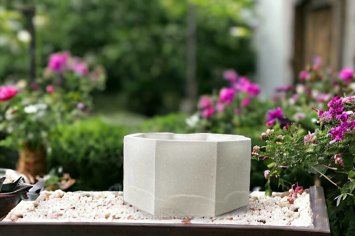 Octagon Planter, Cement Planter, Garden Decoration, Home Decor - Etsy