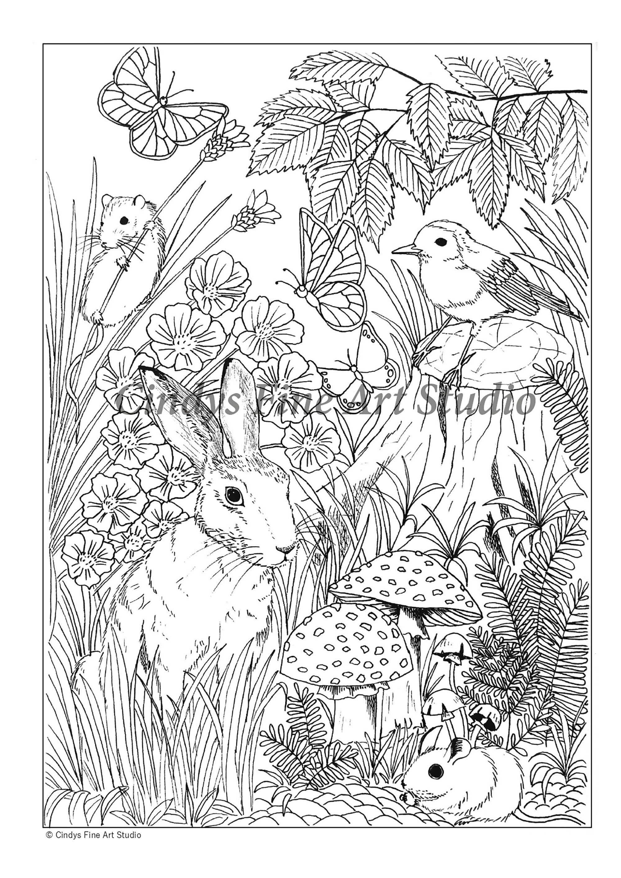 Forest Friends Coloring Pages Printable Digital Instant Download - Etsy