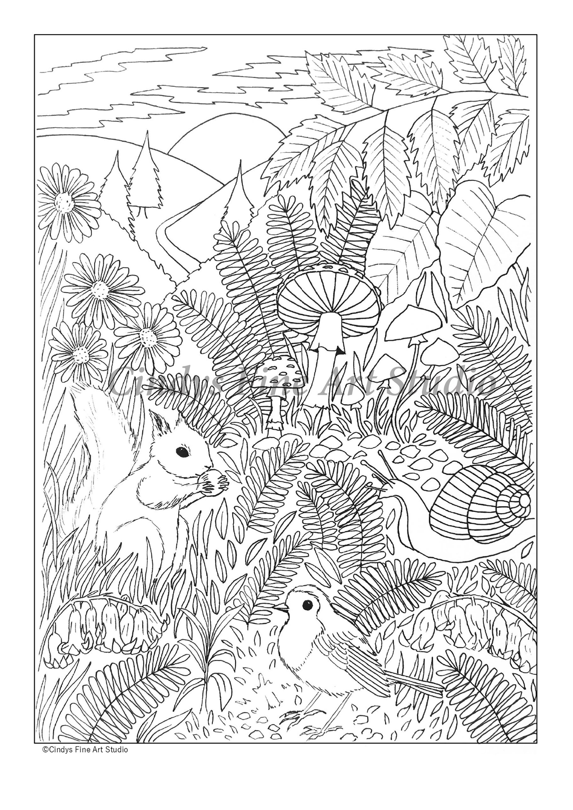 Forest Friends Coloring Pages Printable Digital Instant Download - Etsy